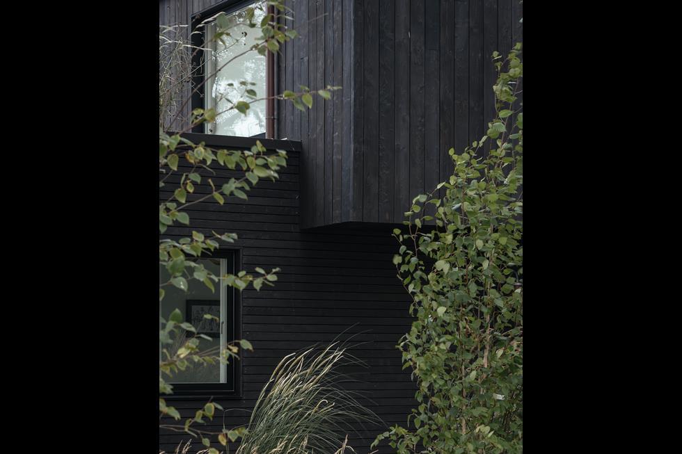 In pictures: Black Timber House by Hapa Architects | News | Building Design